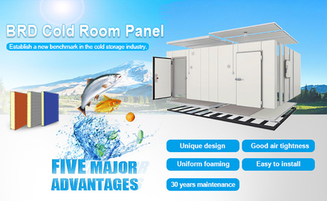 How much does it cost to set up a cold room? - BRDECO - Building ...